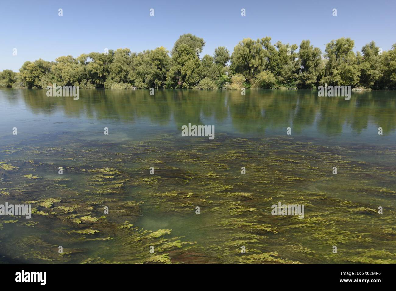 Lake Skadar, Shkoder, Albania, Europe Stock Photo - Alamy