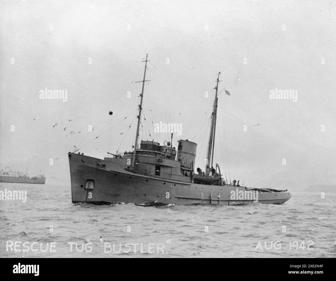 Bustler hi-res stock photography and images - Alamy