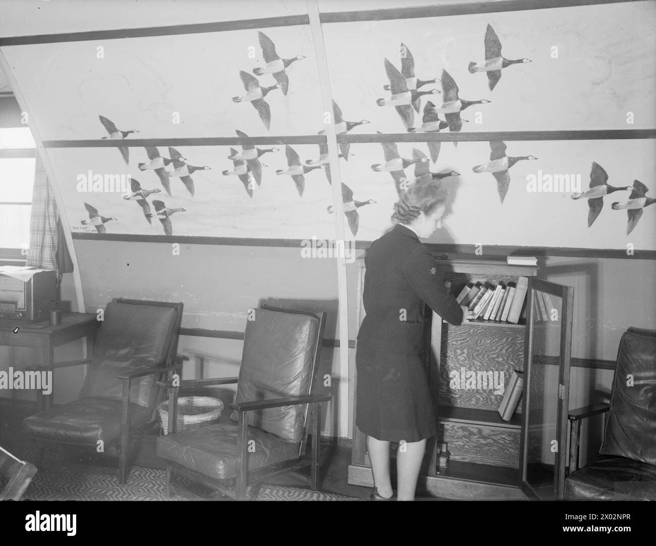 Peter markham scott hi-res stock photography and images - Alamy