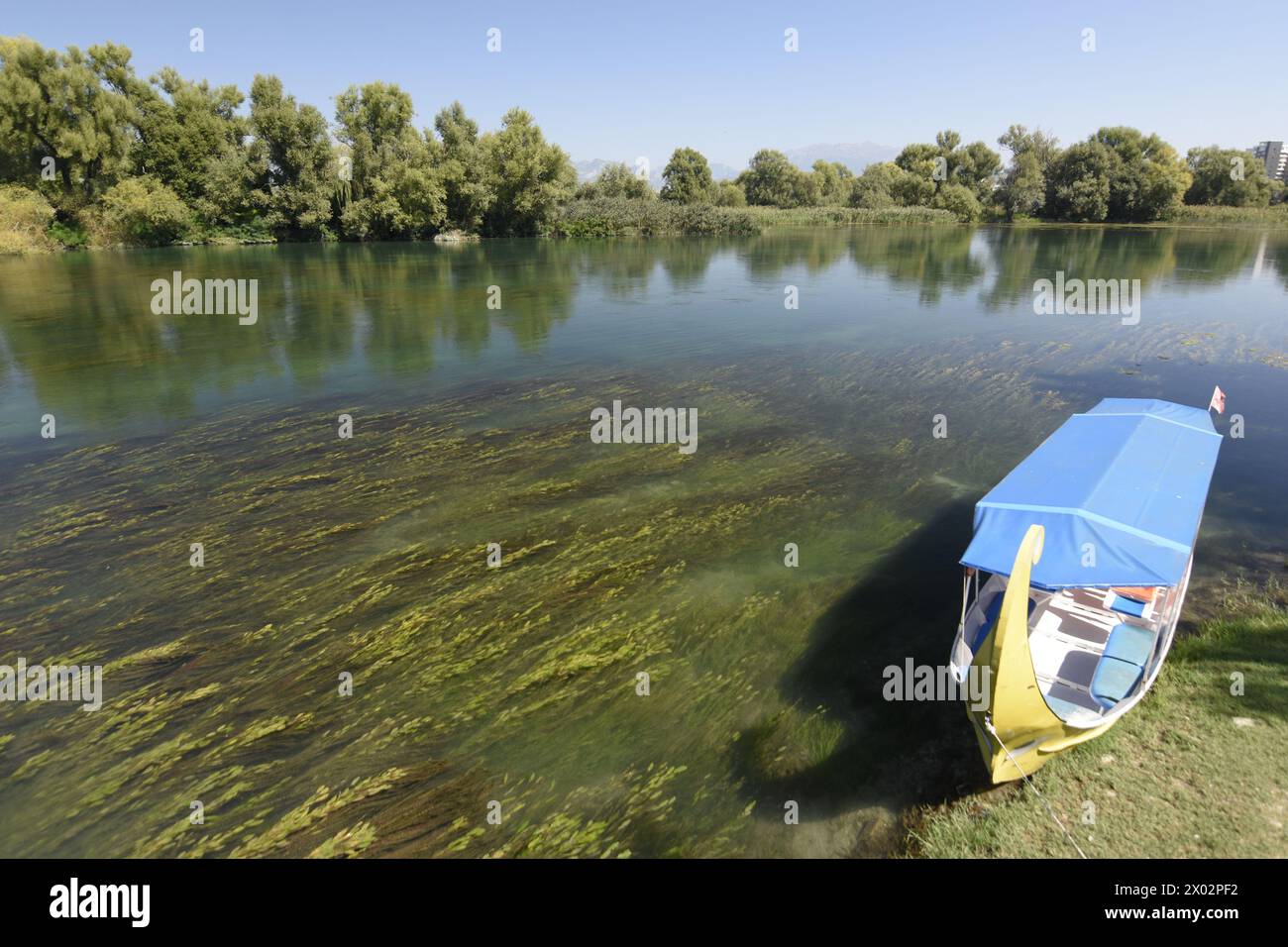 Tourist boat moored on Lake Skadar, Shkoder, Albania, Europe Stock Photo - Alamy