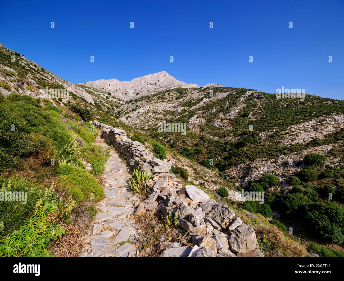 Trail to Mount Zas or Zeus, Naxos Island, Cyclades, Greek Islands ...