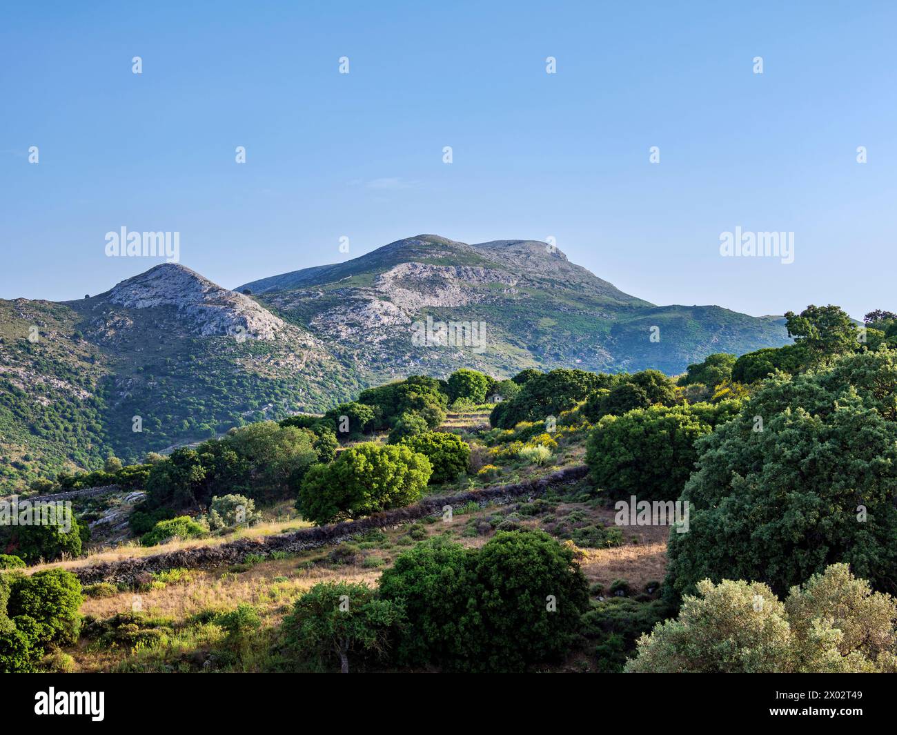 View towards the Mount Zas (Zeus), Naxos Island, Cyclades, Greek ...