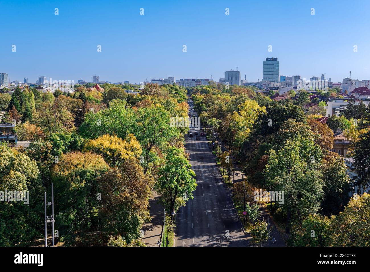 Panoramic city view with park and modern buildings in the background ...