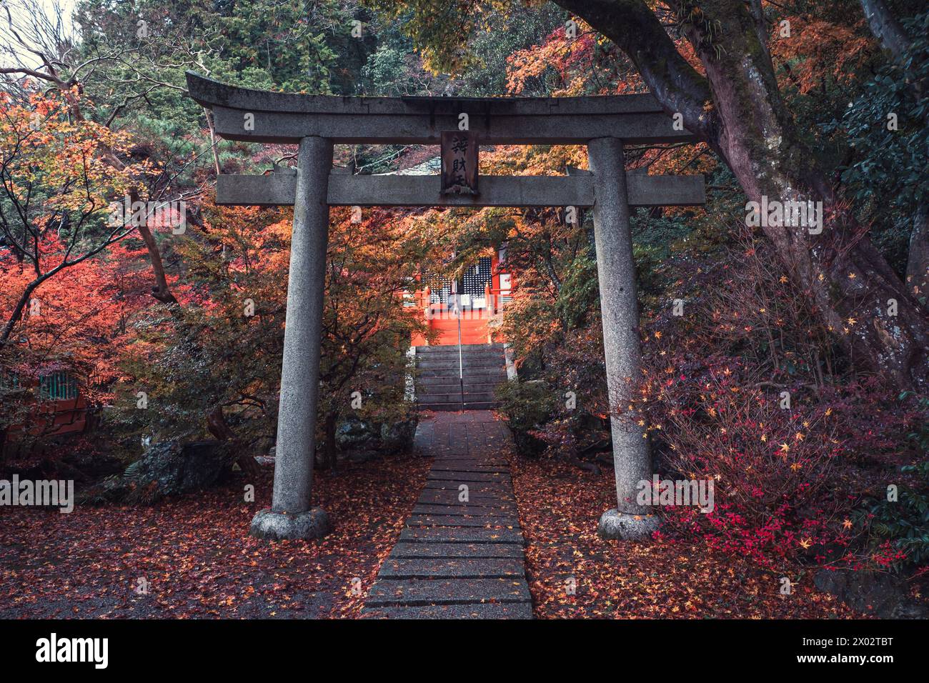 A torii gate in Bishamon-do Buddhist temple with autumn colors, Kyoto ...