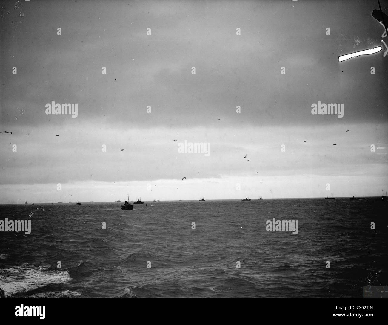 HMS PHILANTE, FORMERLY A PRIVATE YACHT NOW ARMED WITH GUNS AND DEPTH ...