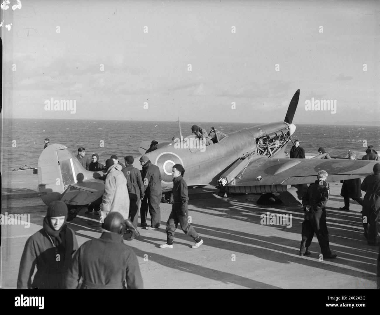 THE ROYAL NAVY DURING THE SECOND WORLD WAR - A Supermarine Seafire with ...