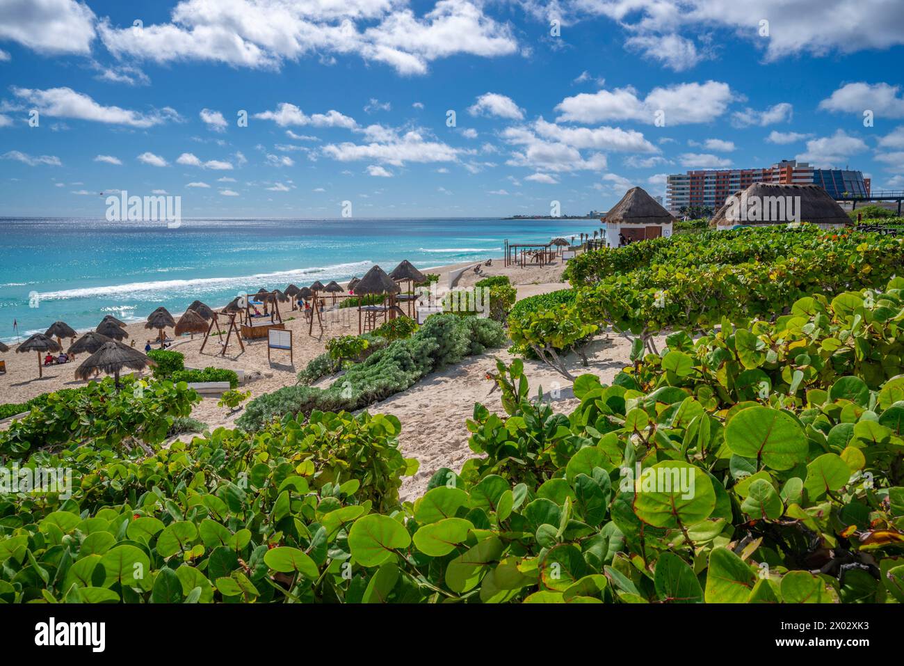 View of long white sandy beach at Playa Delfines, Hotel Zone, Cancun ...