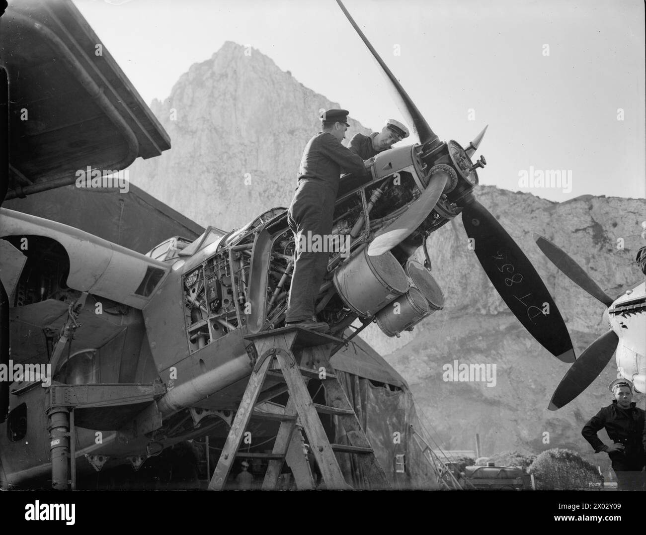 In January 1944 at HMS Cormorant II, Royal Naval Air Station Gibraltar ...