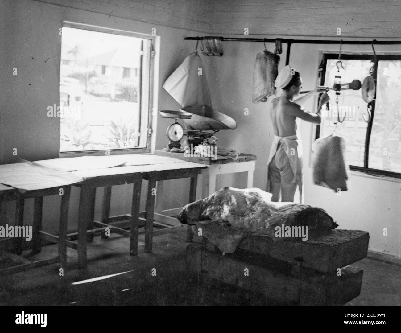 THE FLEET AIR ARM IN THE TROPICS. SEPTEMBER 1944, ROYAL NAVAL AIR ...