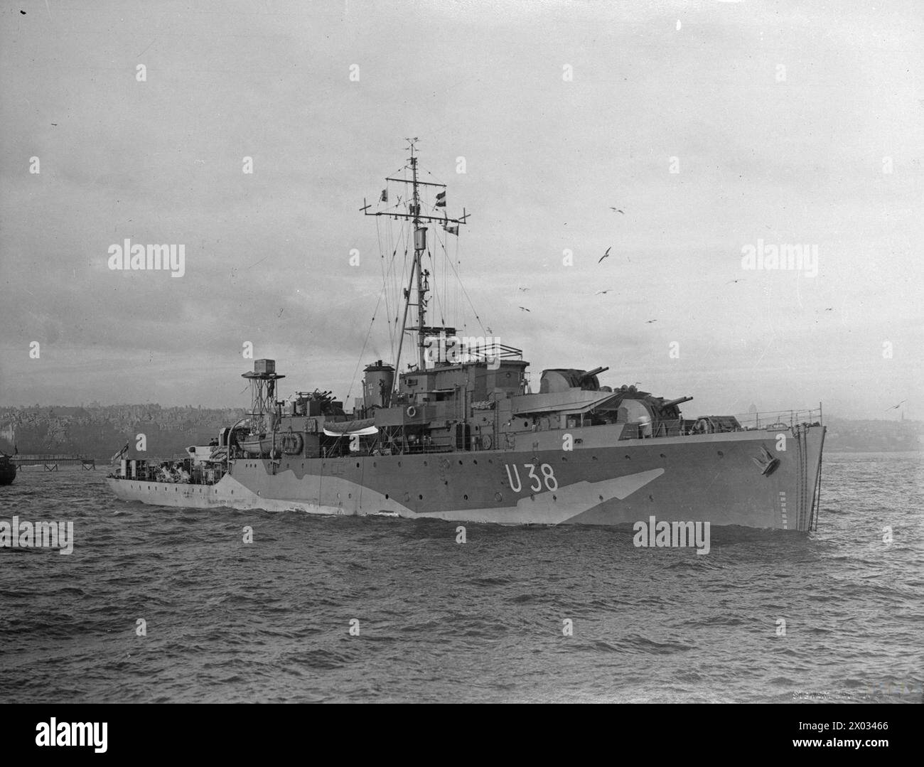 HMS Cygnet is at anchor, showing the ship secured in position with crew ...
