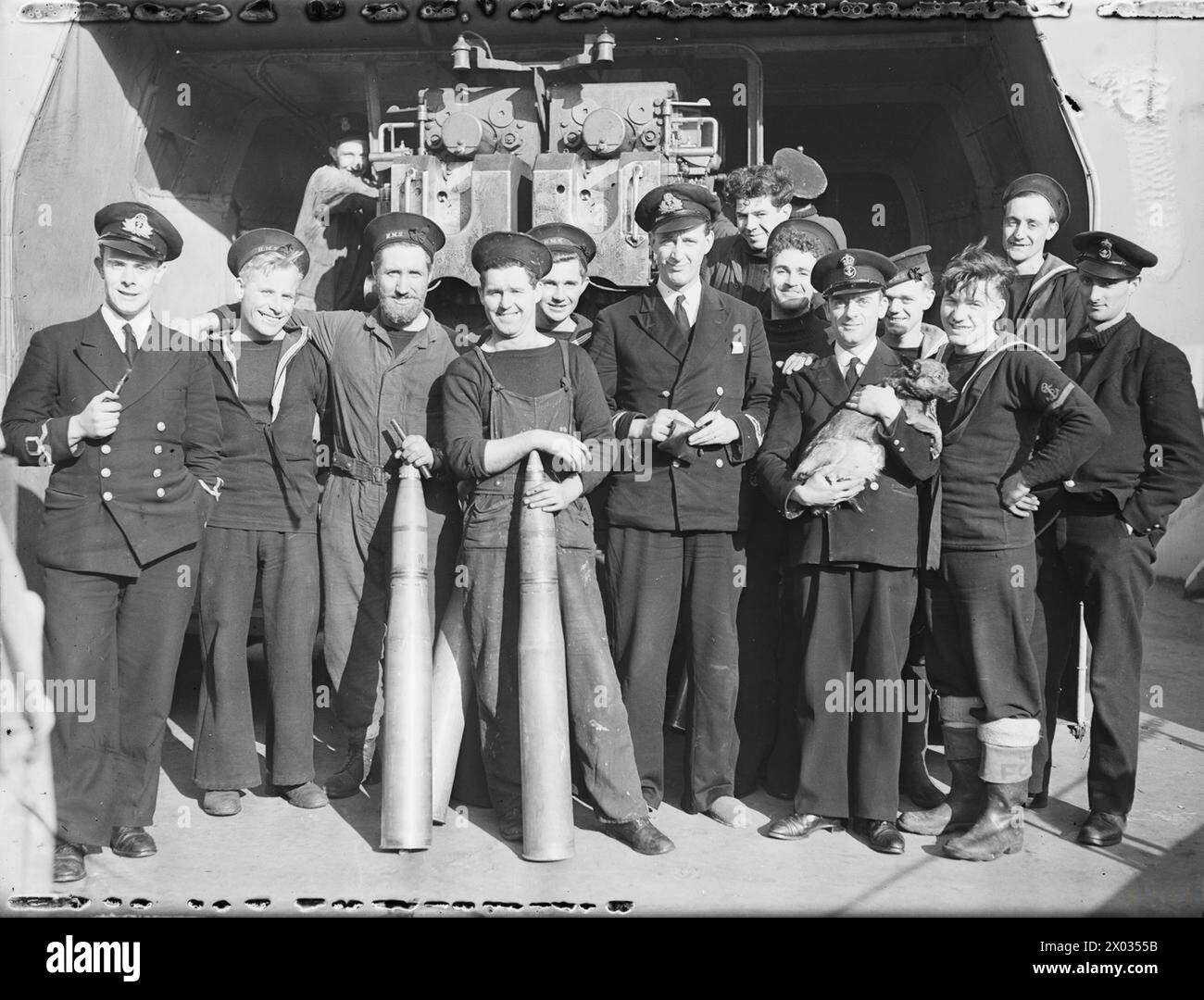 Star formation of dog hi-res stock photography and images - Alamy