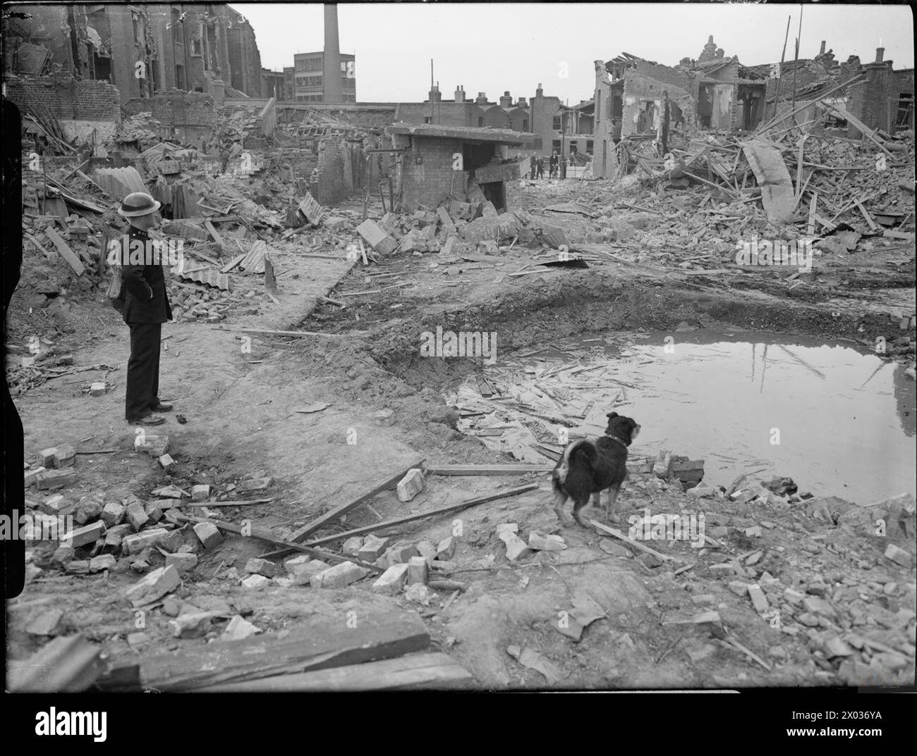 AIR RAID PRECAUTIONS DOG AT WORK IN POPLAR, LONDON, ENGLAND, 1941 ...