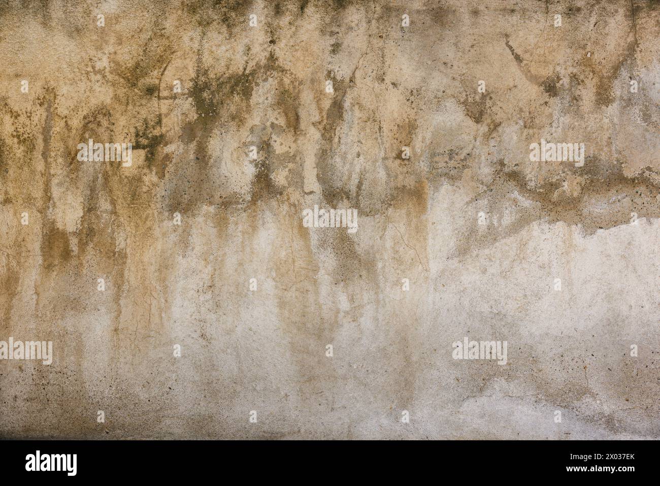 Old water damaged plaster wall surface - full-frame background and ...