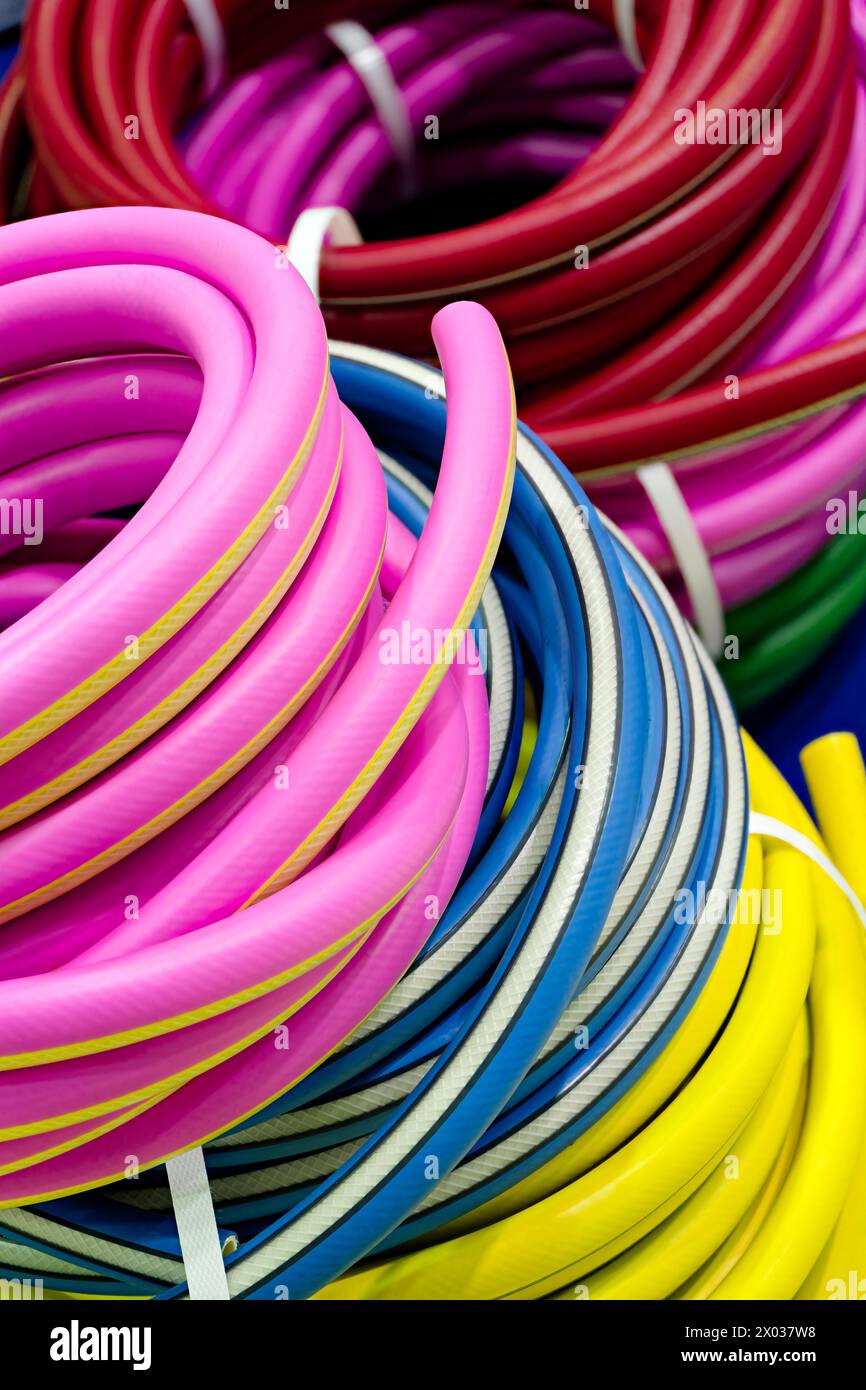 Rolled up colourful garden hose, blue, yellow, red and pink, close-up ...