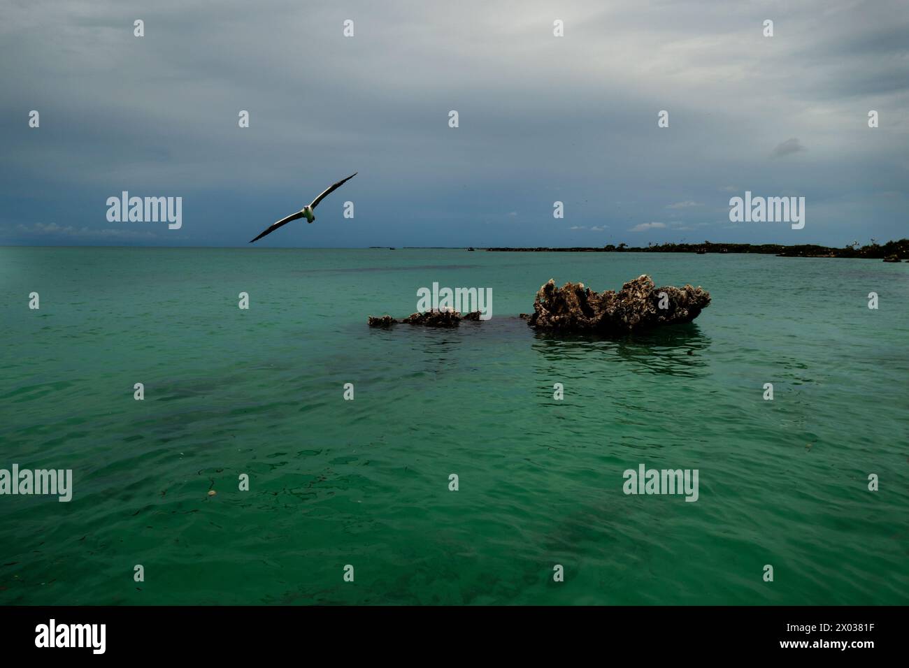 Rocky outcrop with flying booby, Ile Sud Ouest, Seychelles, Indian ...