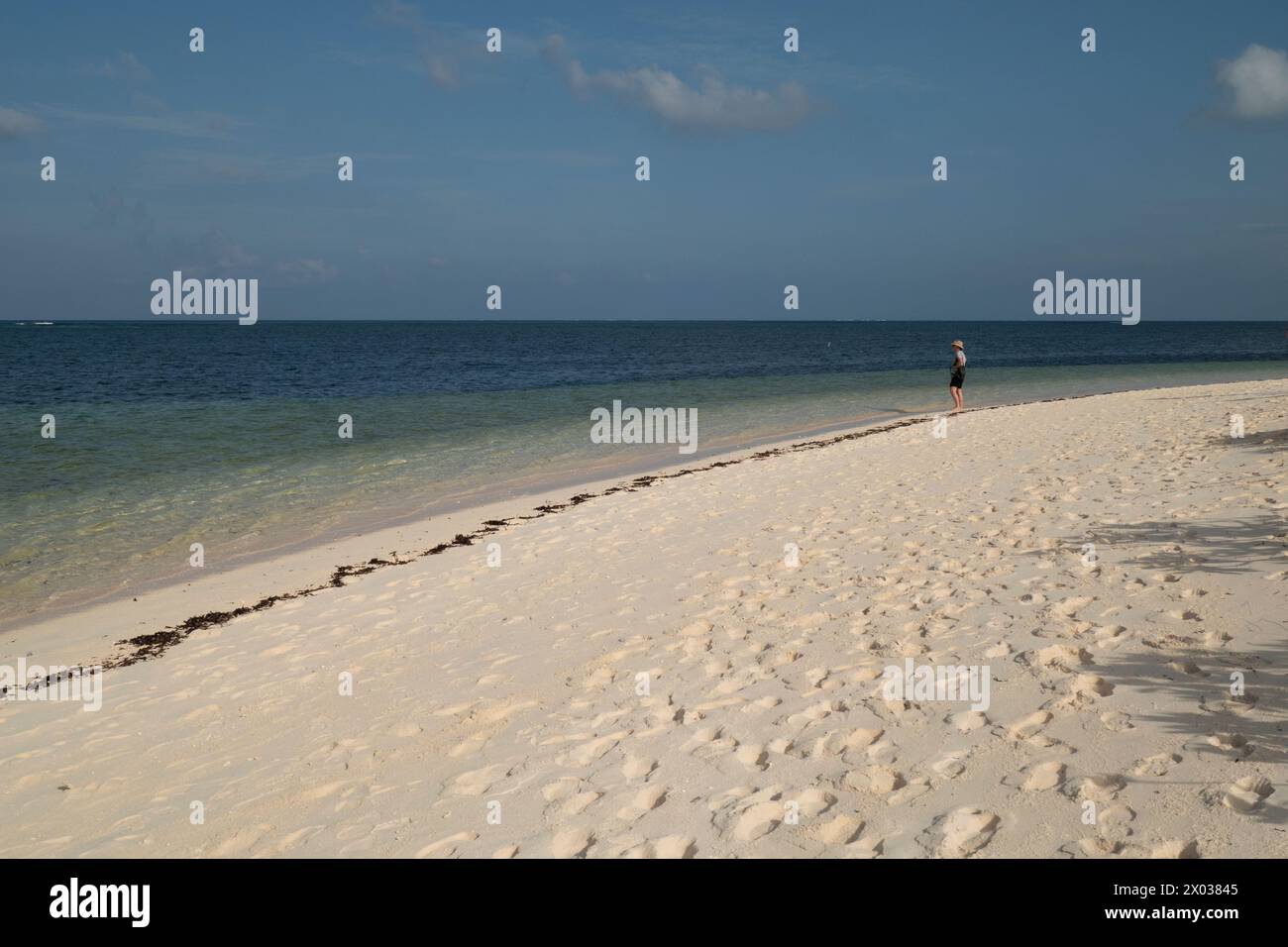 The beach, Bijoutier Island, Farquhar Atoll, Seychelles, Indian Ocean ...