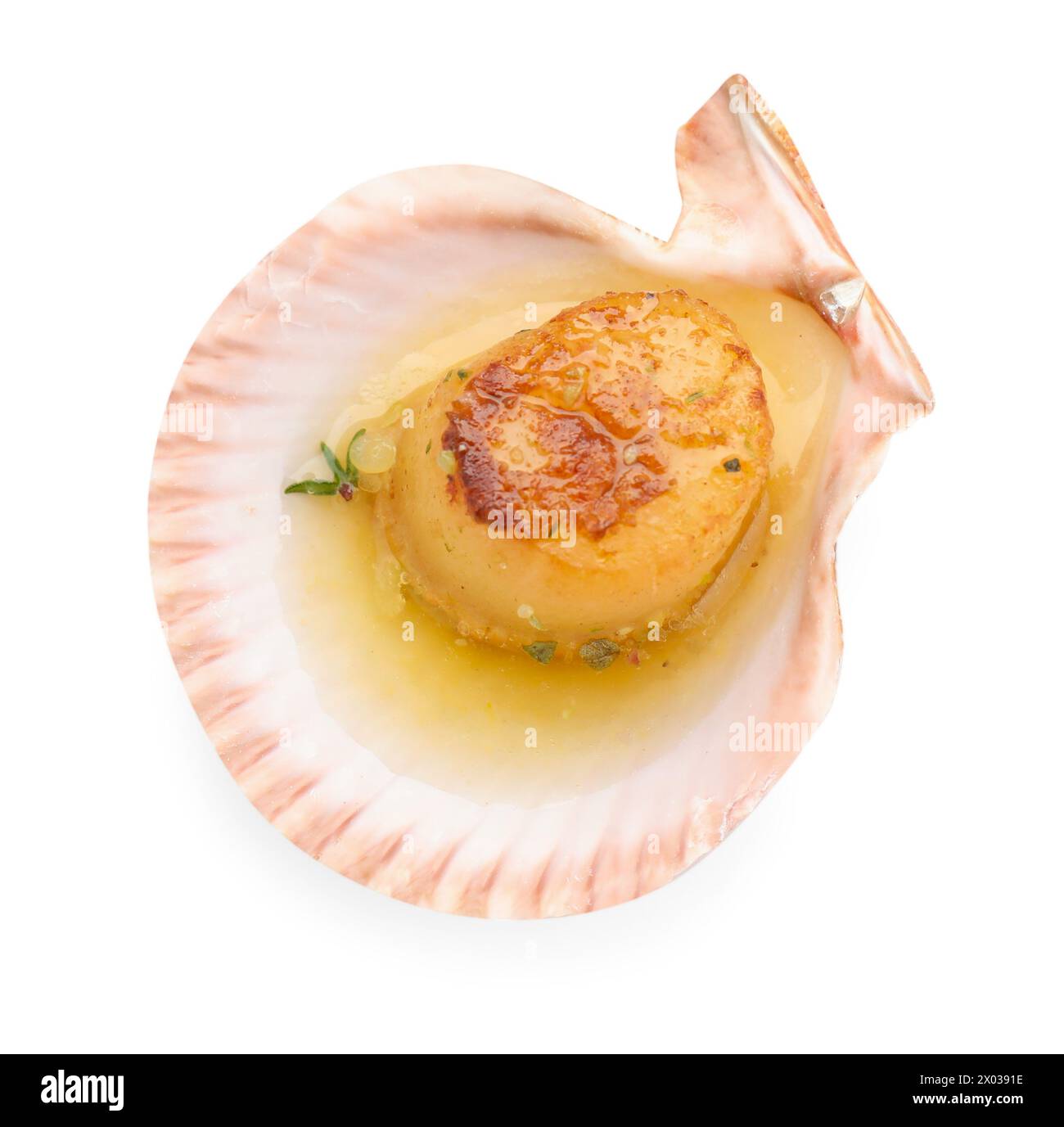 Delicious fried scallop in shell isolated on white, top view Stock ...