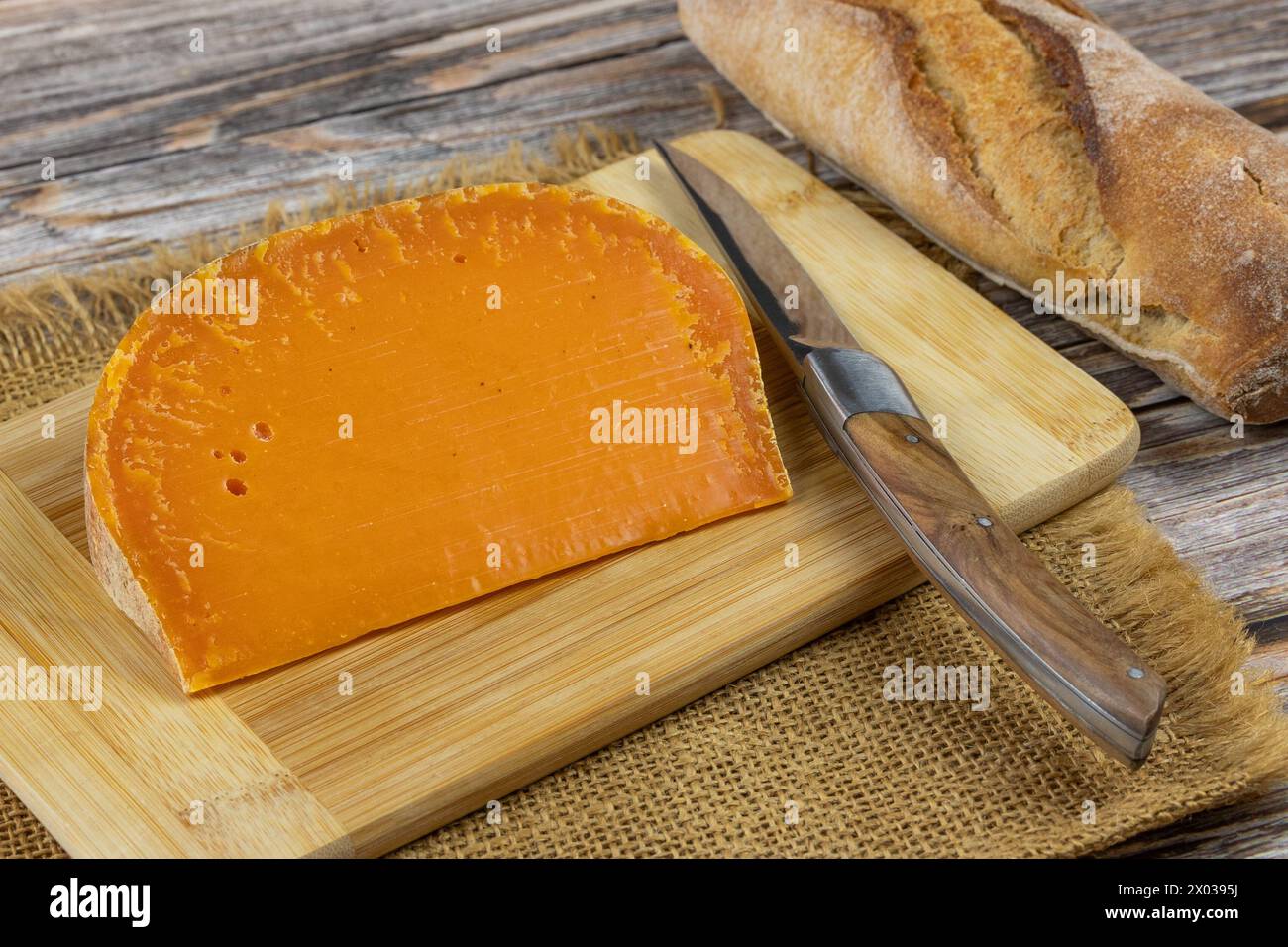 slice of French cheese: extra old mimolette, close-up, on a cutting ...