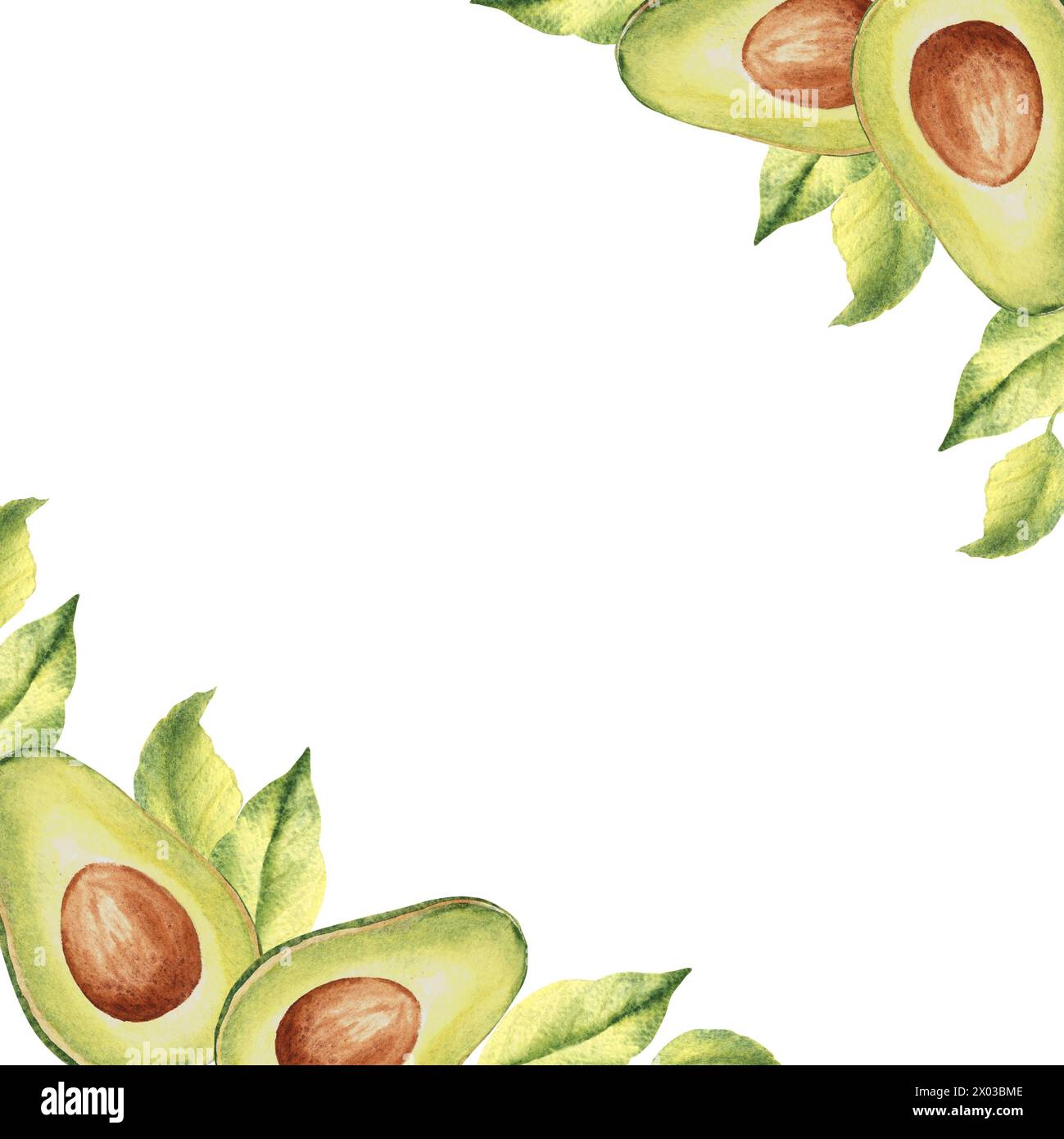 Avocado square frame, border. Corner compositions with avocado half ...