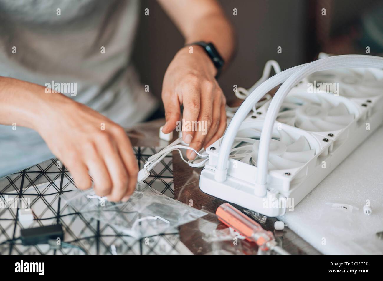 person engaged in assembling or working on computer hardware, likely ...