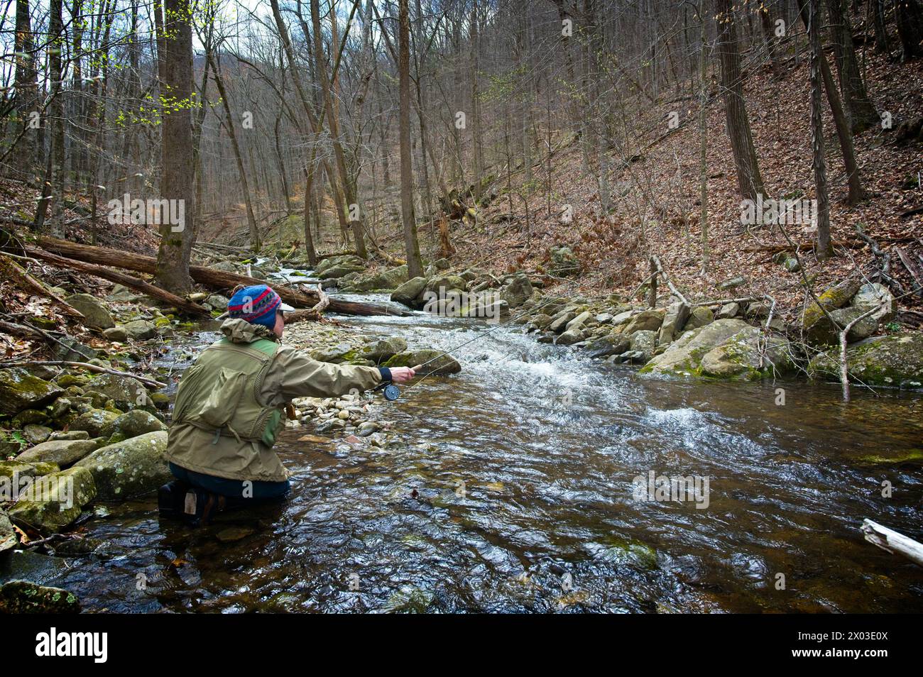 United States: 04/04/2024; Fly fishing on the North Creek near Buchanan ...