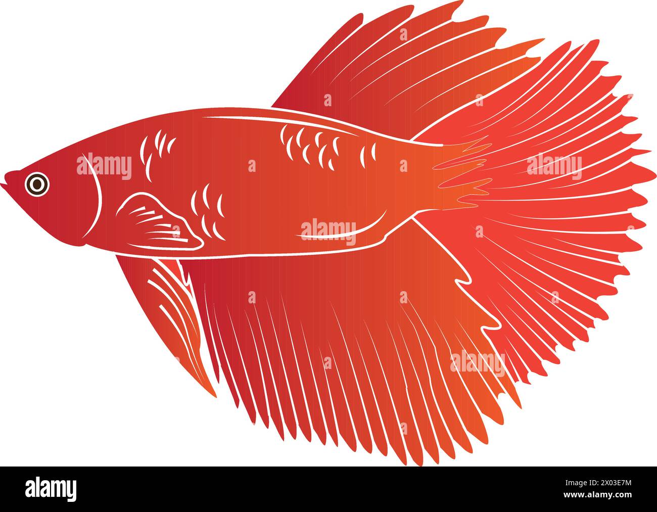 betta fish icon vector illustration symbol design Stock Vector Image ...