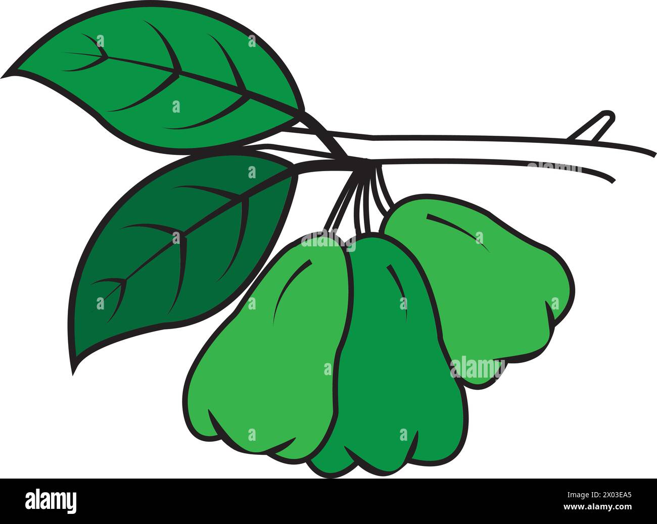 guava icon vector illustration symbol design Stock Vector Image & Art ...