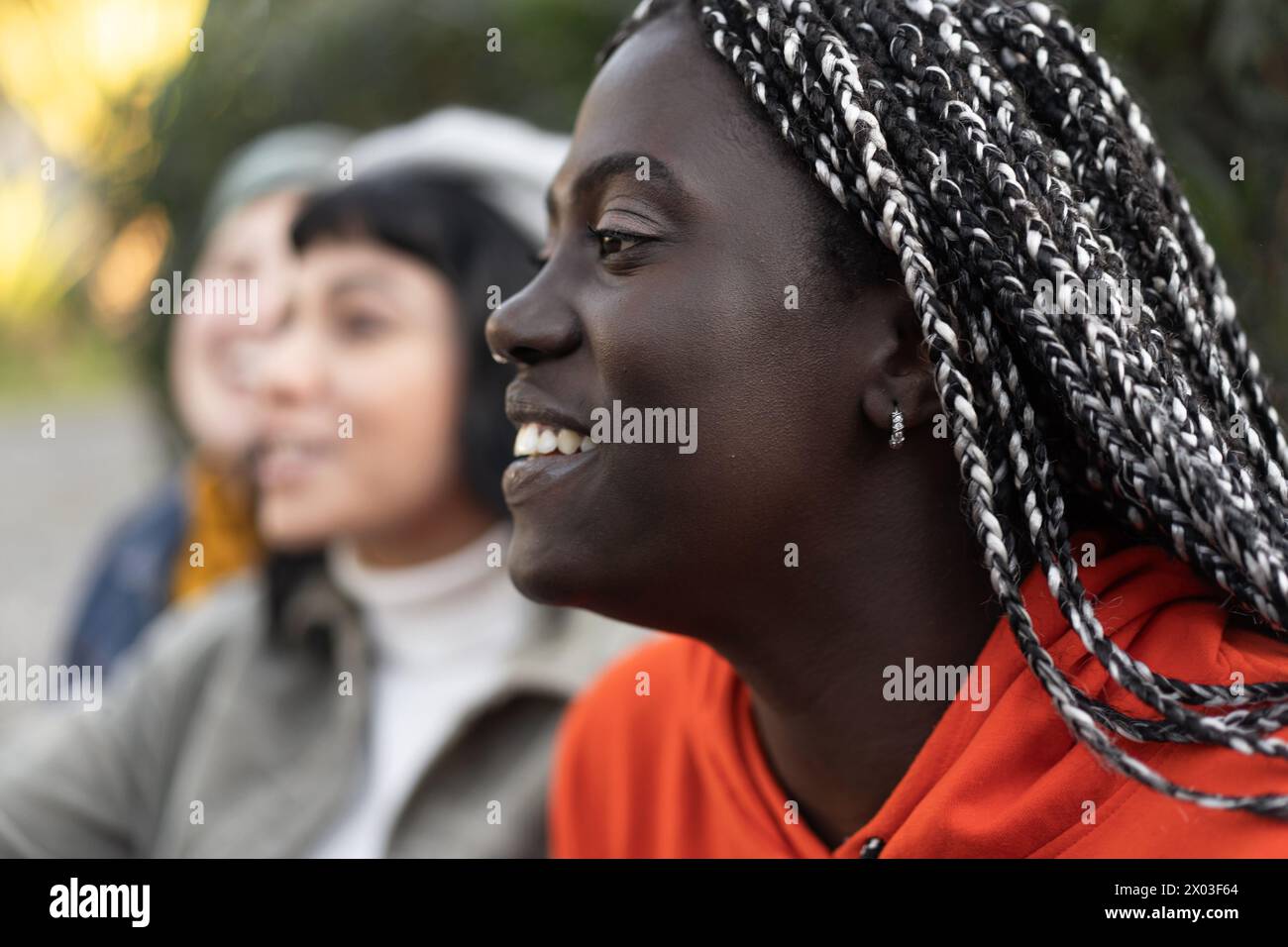 Young woman intricately braided hair hi-res stock photography and ...