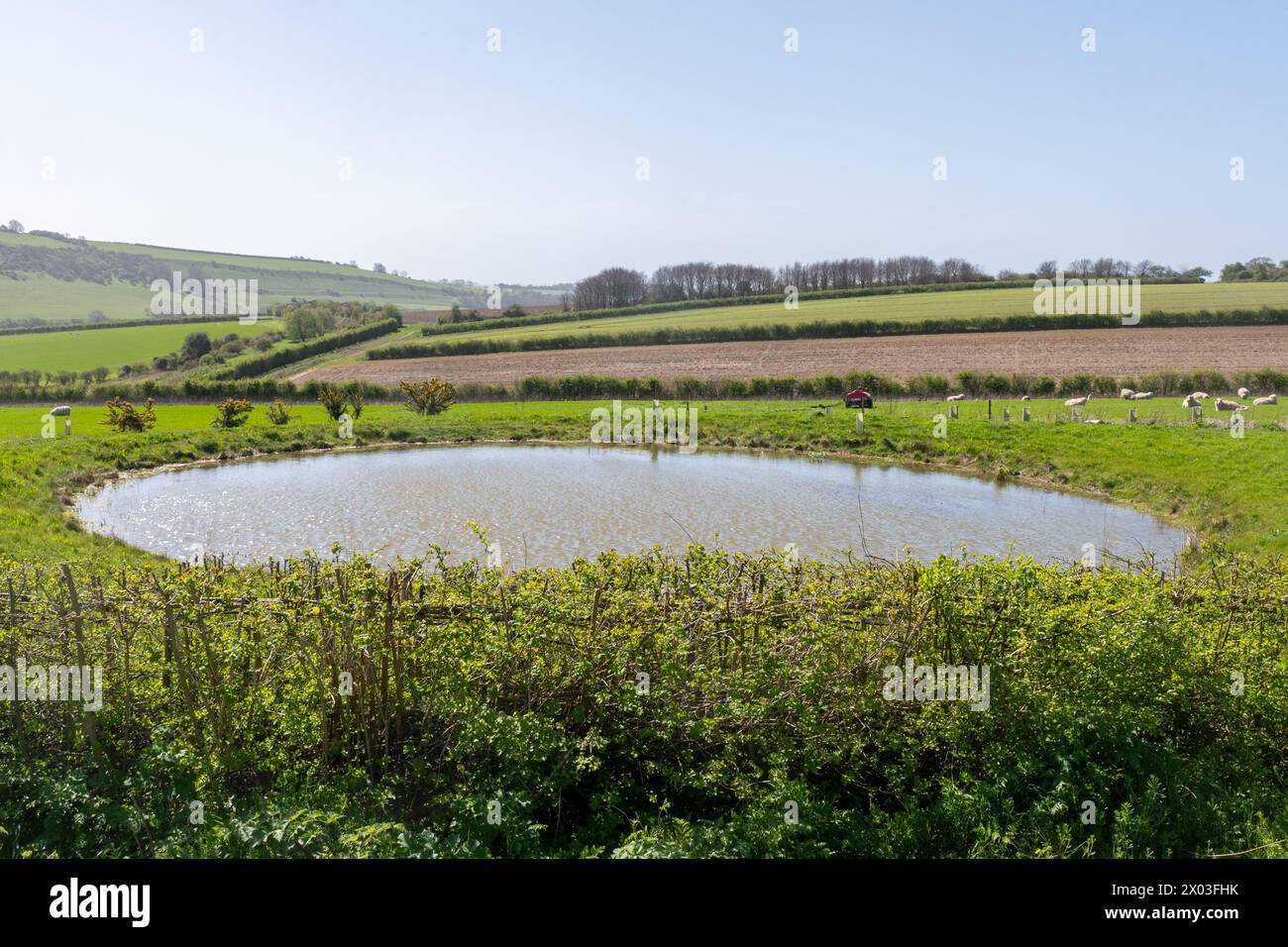 To provide water for animals hi-res stock photography and images - Alamy