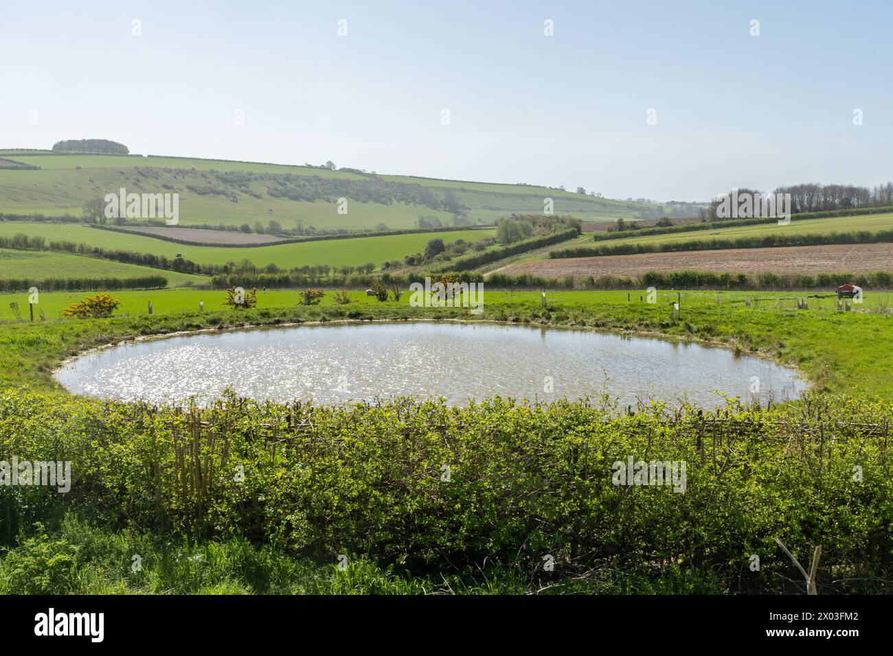 A dew pond in the South Downs National Park, West Sussex, England, UK ...