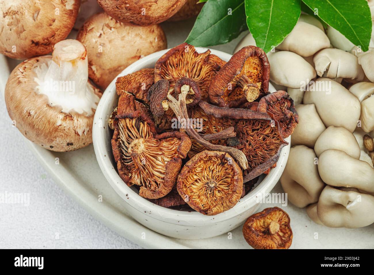 Assortment of various mushrooms - fresh, dried and pickled. Oyster ...