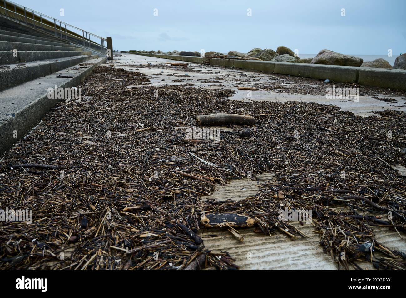 Flotsam and jetsam and waste washed ashore after storm Kathleen and ...