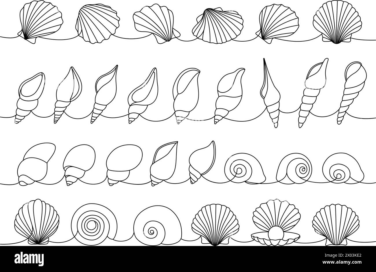 Scallop sea shells set. Sea shells, mollusks, scallop, pearls. Tropical ...