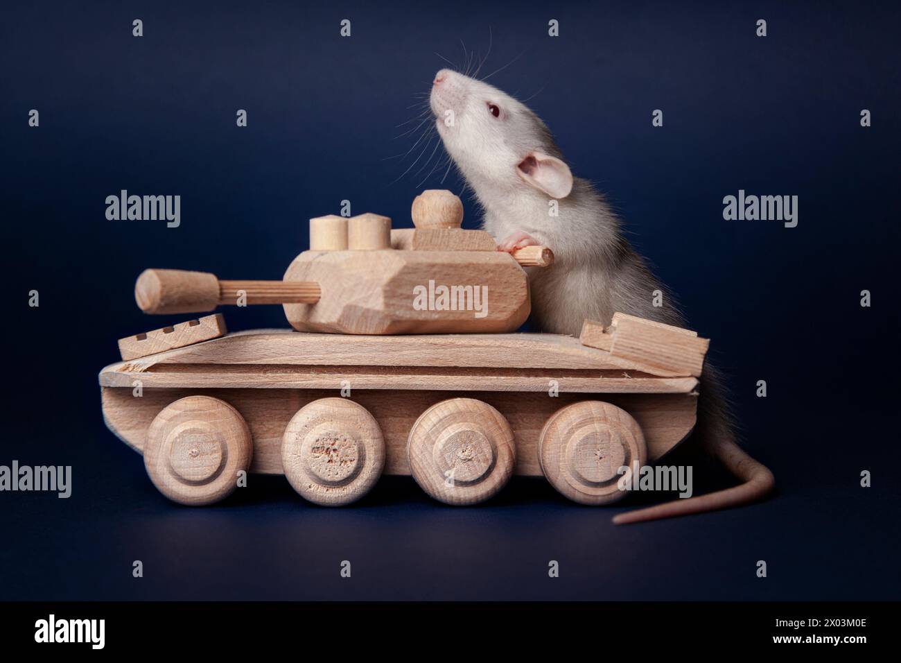 Toy tank hi-res stock photography and images - Alamy