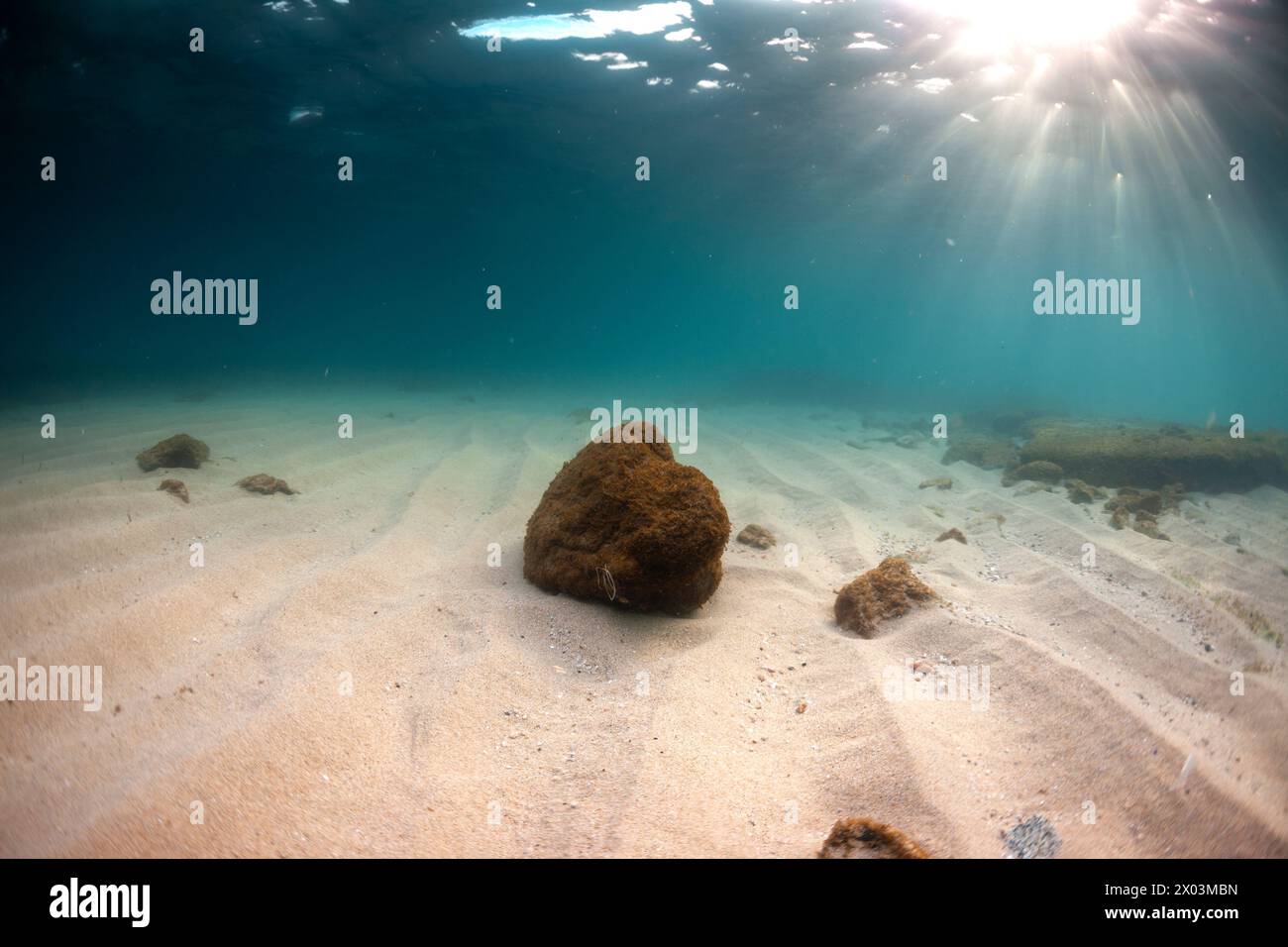 sunset underwater ecosystem nature fish uw mediterranean sea bottom ...