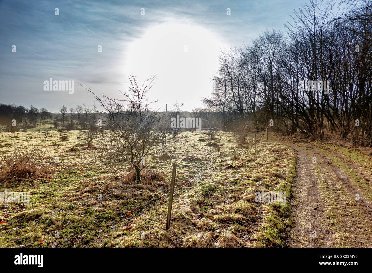 Drinking water preservation area in Esbjerg Western part of Denmark ...
