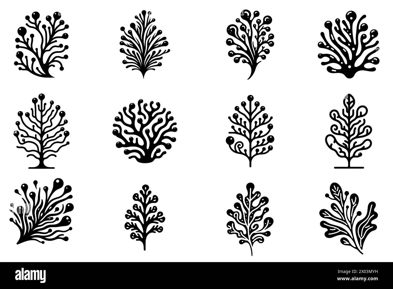 Seaweed icon. Set of black algae icons. Sea plants icon isolated on ...