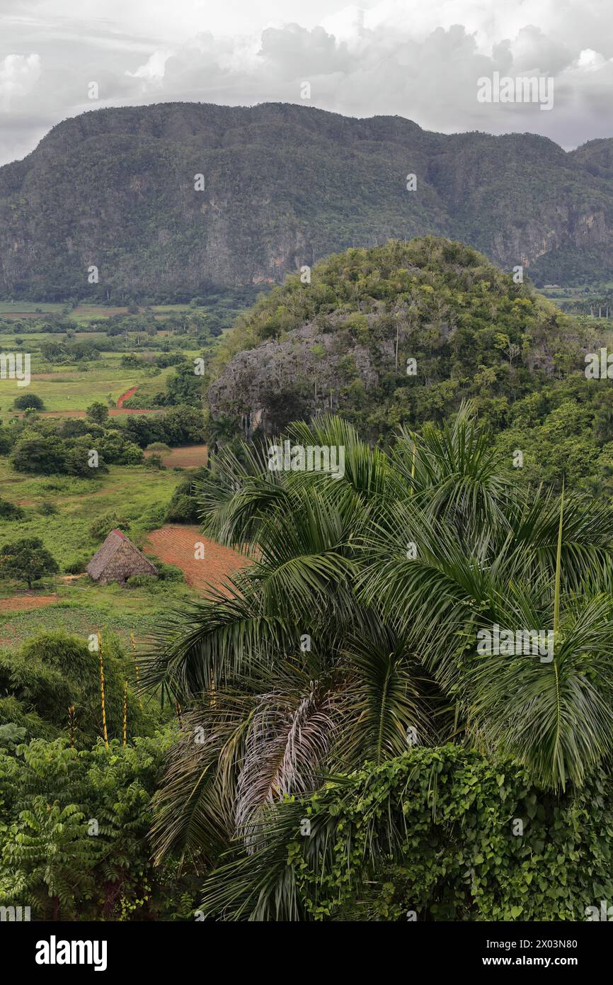 148 Karst landscape with dome-like limestone outcrop -mogote Dos ...