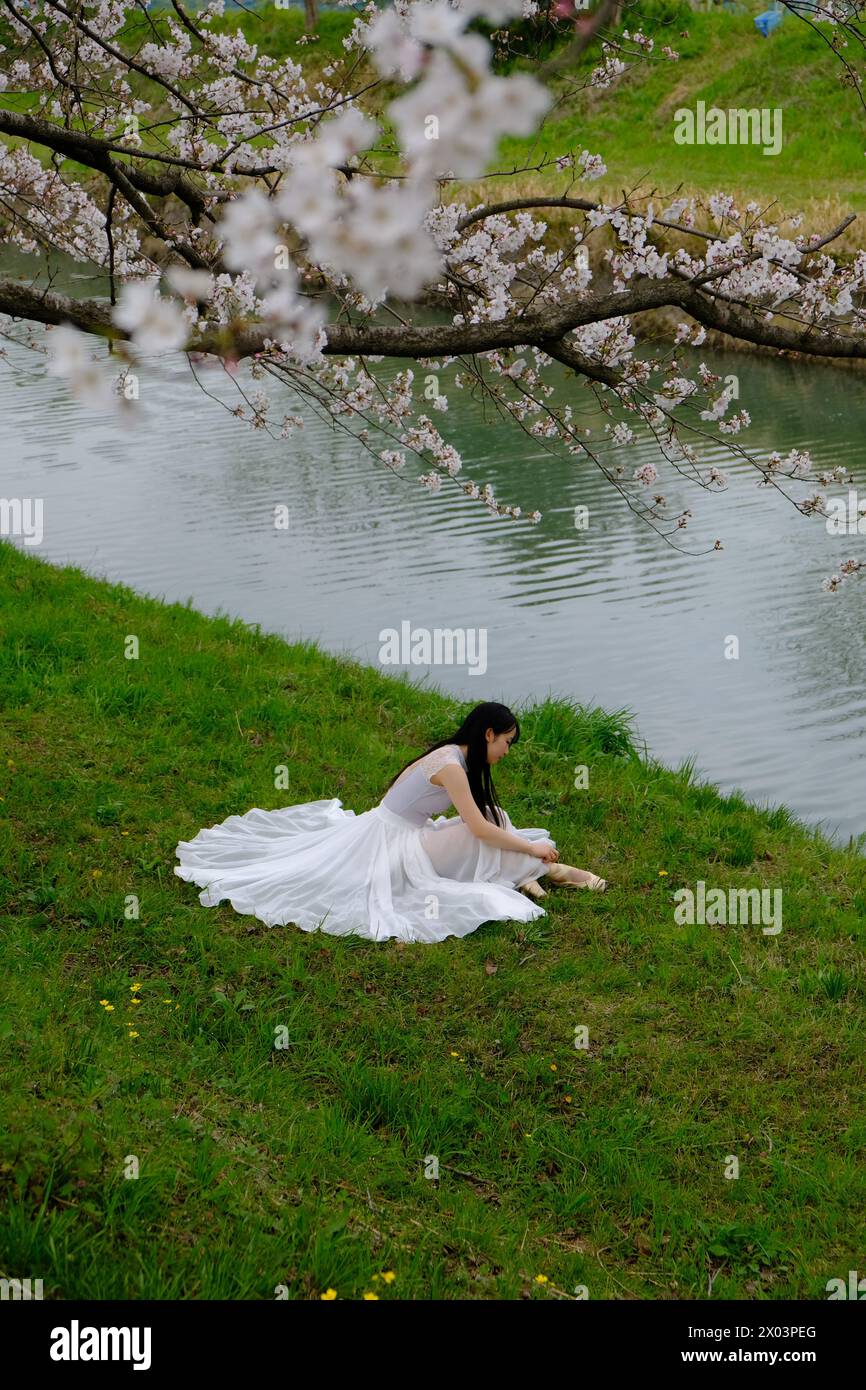 young Japanese lady with Cherry Blossom in Kyushu Japan Sakura Blossom ...