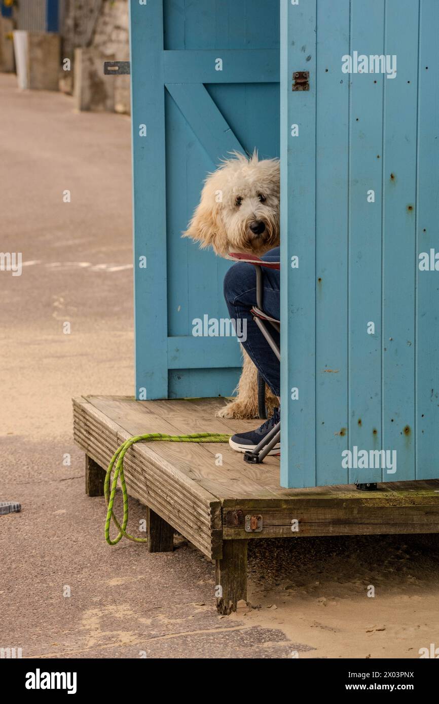 Bournemouth Dorset 9th Apr 2024 UK Weather; visitors enjoy the spring ...