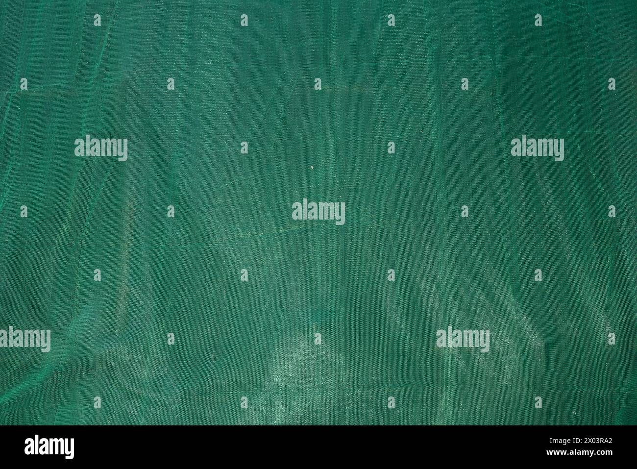 Close-up of the surface of the construction dust mesh Stock Photo - Alamy