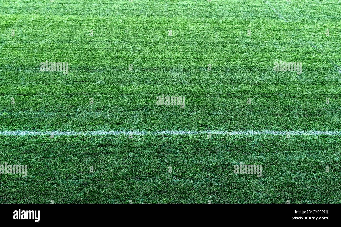 Green grass texture of a soccer or rugby field. Lush green grass meadow ...