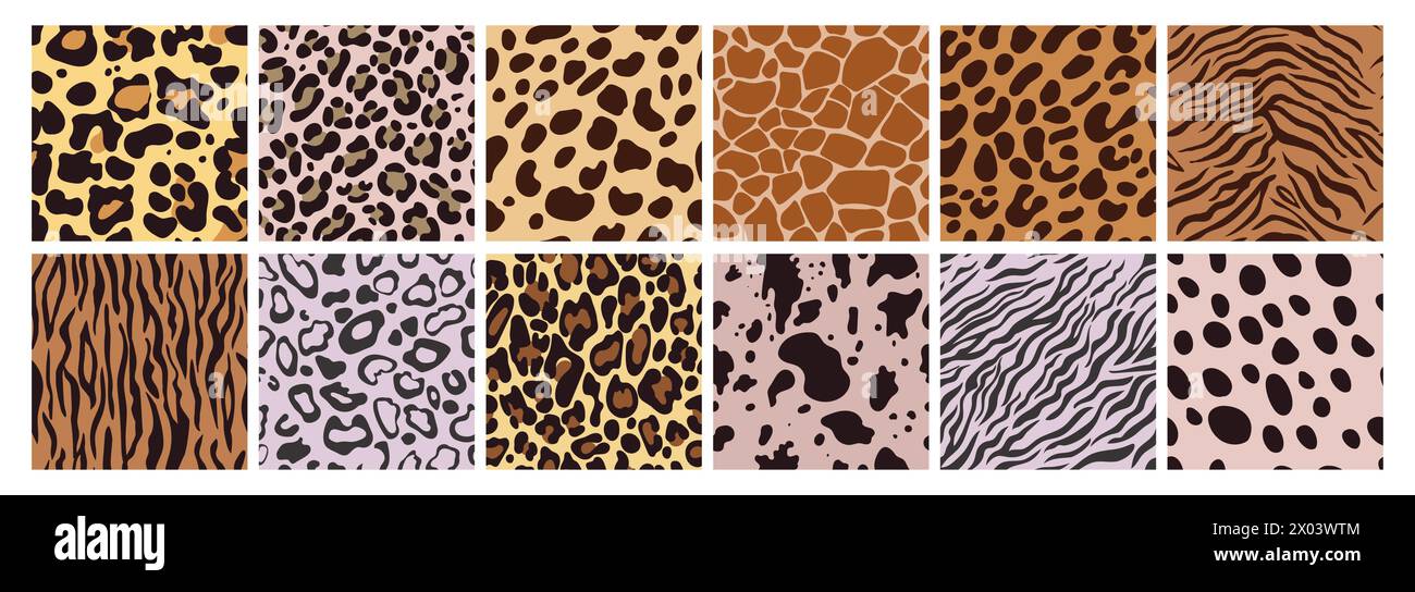 Zebra skin patterns Cut Out Stock Images & Pictures - Alamy