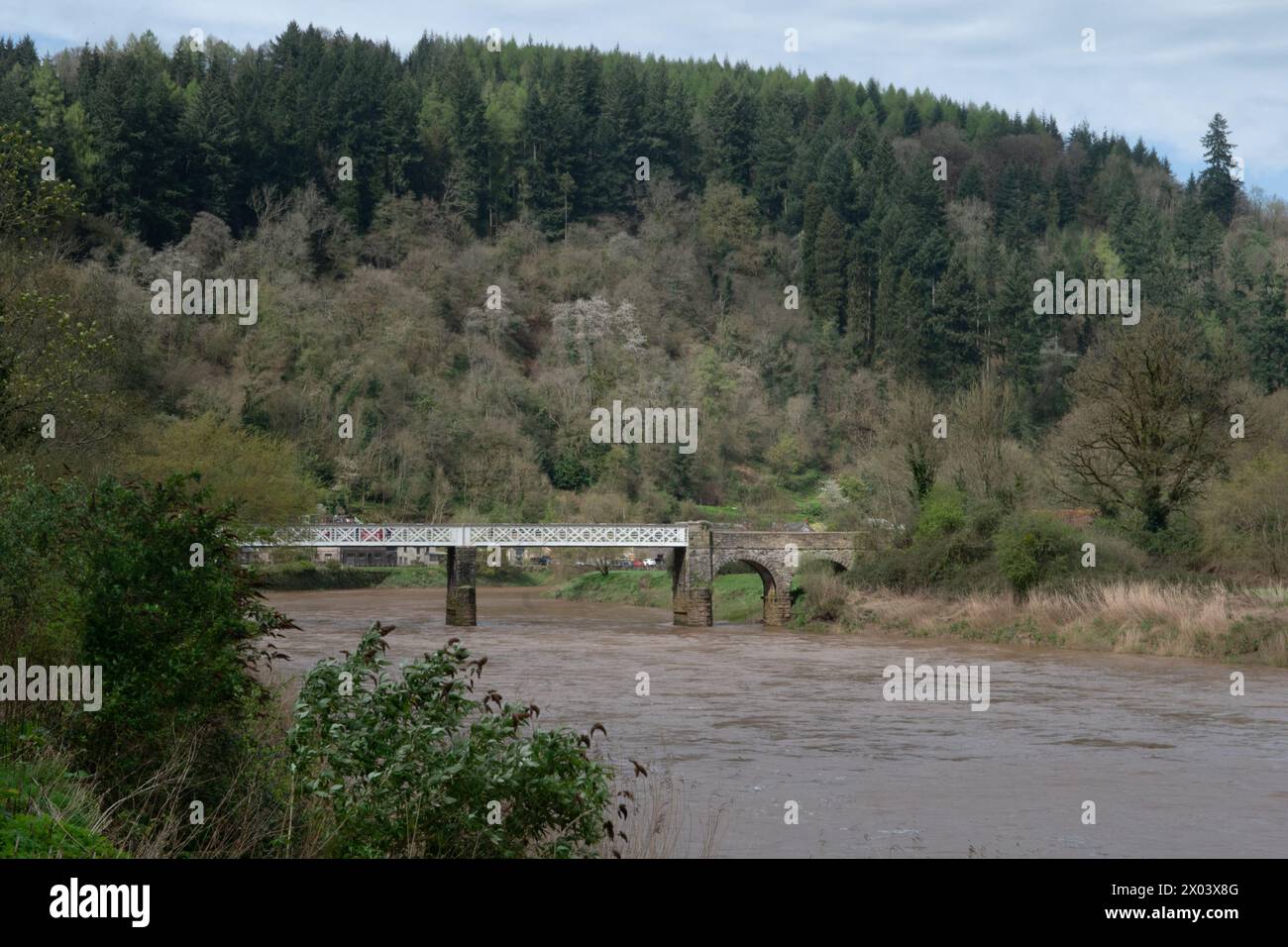 The old Wireworks branch line bridge at Tintern, Wales Stock Photo - Alamy