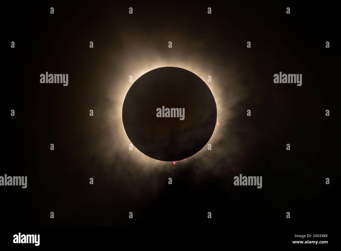 2024 Solar Eclipse Totality with Solar Flare Stock Photo - Alamy