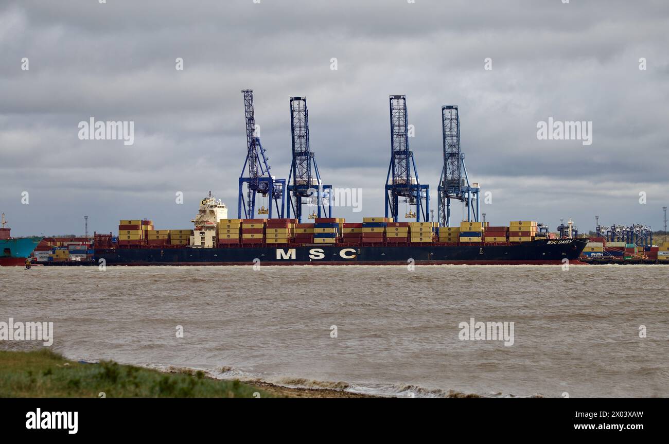 Container ship MSC Daisy berthed at the Port of Felixstowe, Suffolk, UK ...