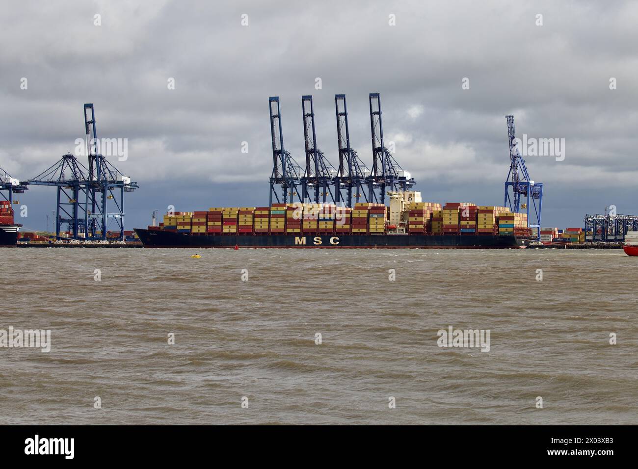 Container ship MSC Fie X berthed at the Port of Felixstowe, Suffolk, UK ...