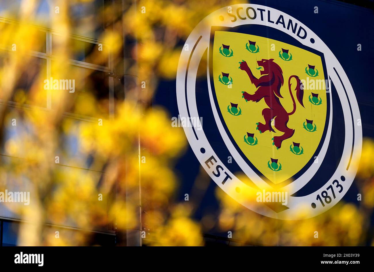 A general view of the Scotland nation team badge at Hampden Park ...