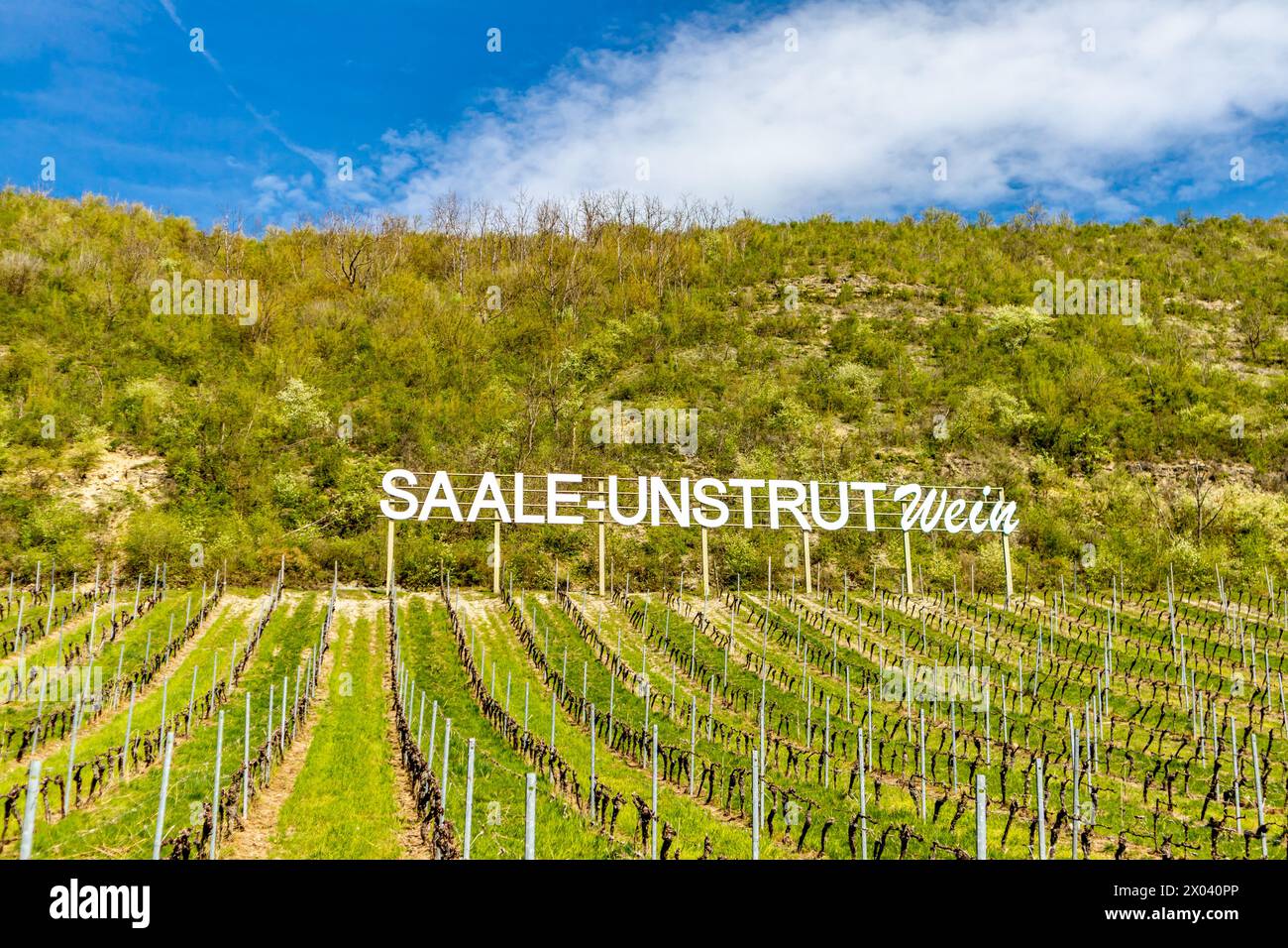 A spring-like cycle tour in early April in glorious sunshine along the ...