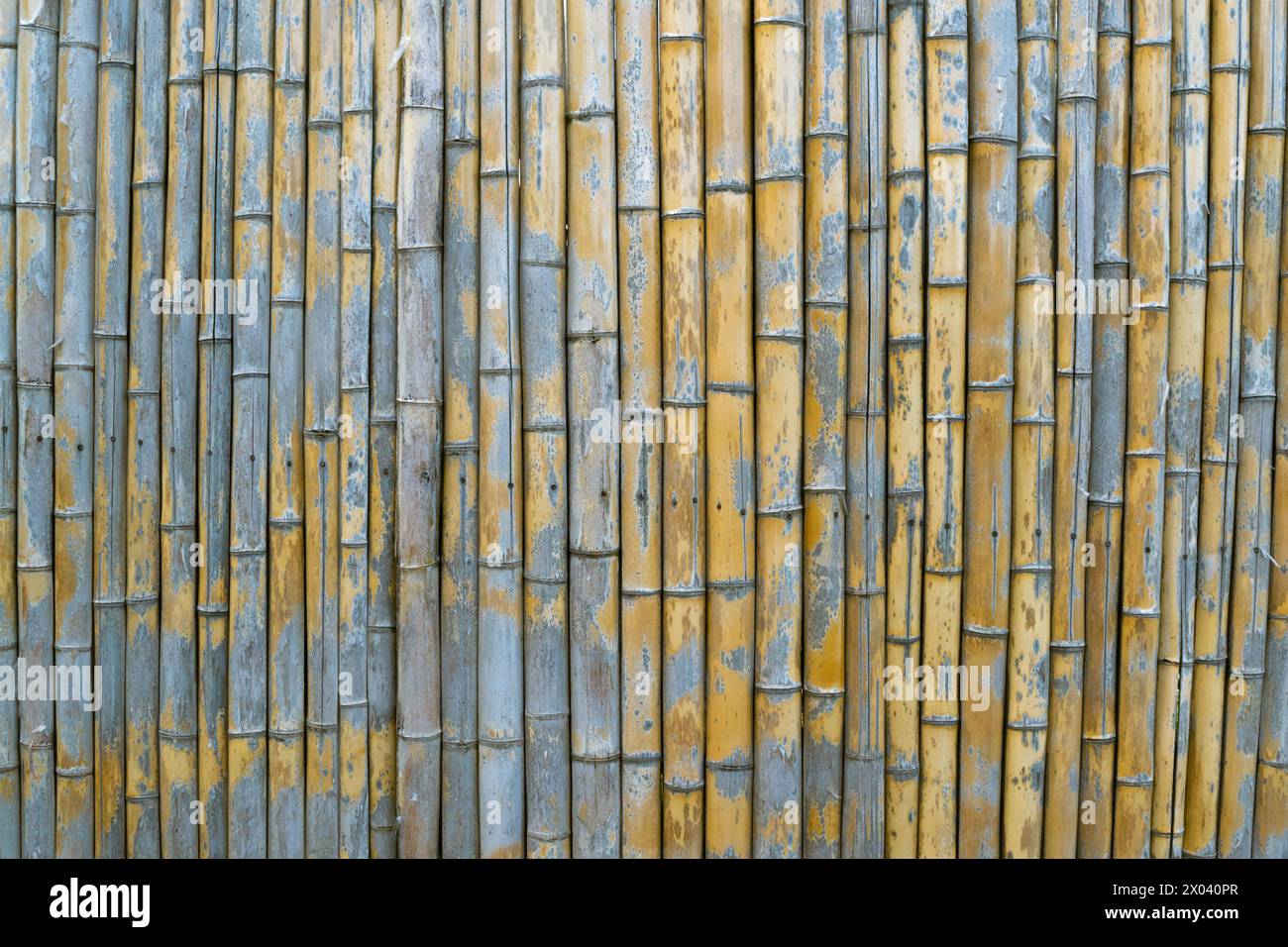 Fence made from bamboo trunks. Backgrounds and textures. Details and ...